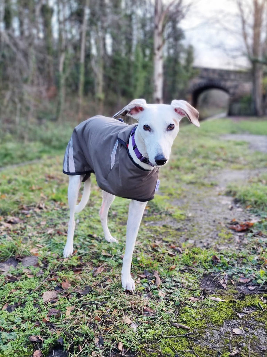Waterproof Dog Coat - made to measure, custom size – Freckles Designs