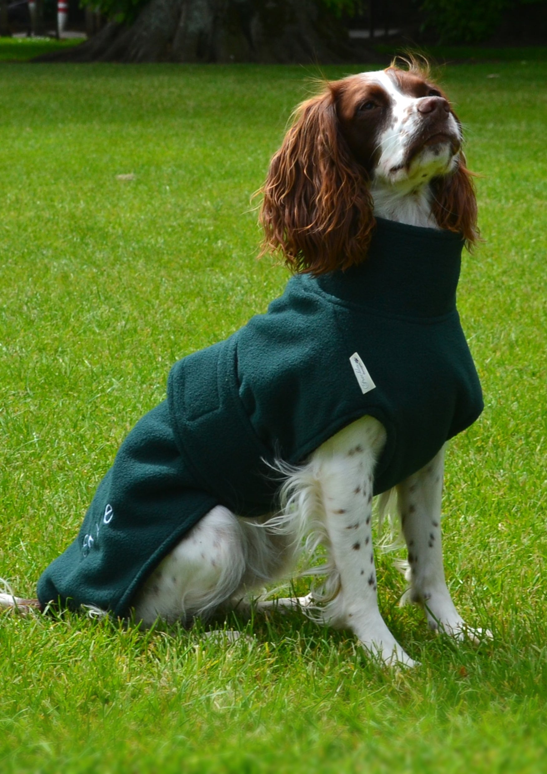 NESS DOG DRYING COAT - BLACKWATCH – Freckles Designs